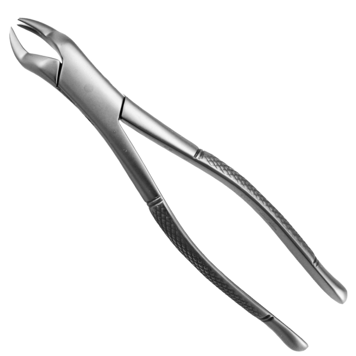 Devemed American-Extract Extracting Forceps #88R - Swallow Dental