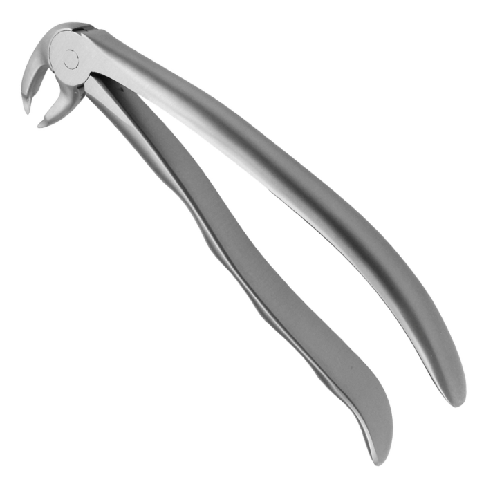 Devemed Special Extract Extracting Forceps - Swallow Dental