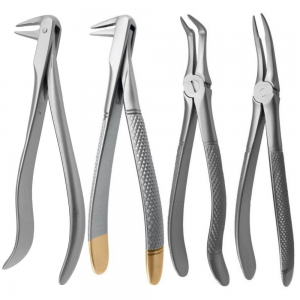 Dental Forceps - Swallow Dental