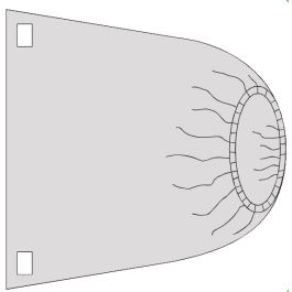 Nuline Medical Sterile Banded Bag - Swallow Dental