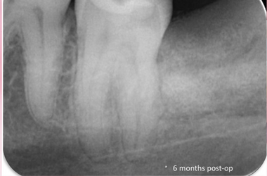 ethoss case studies - Swallow Dental