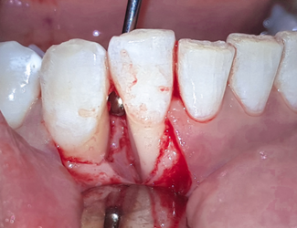 ethoss case studies - Swallow Dental