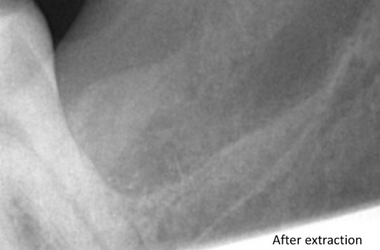ethoss case studies - Swallow Dental